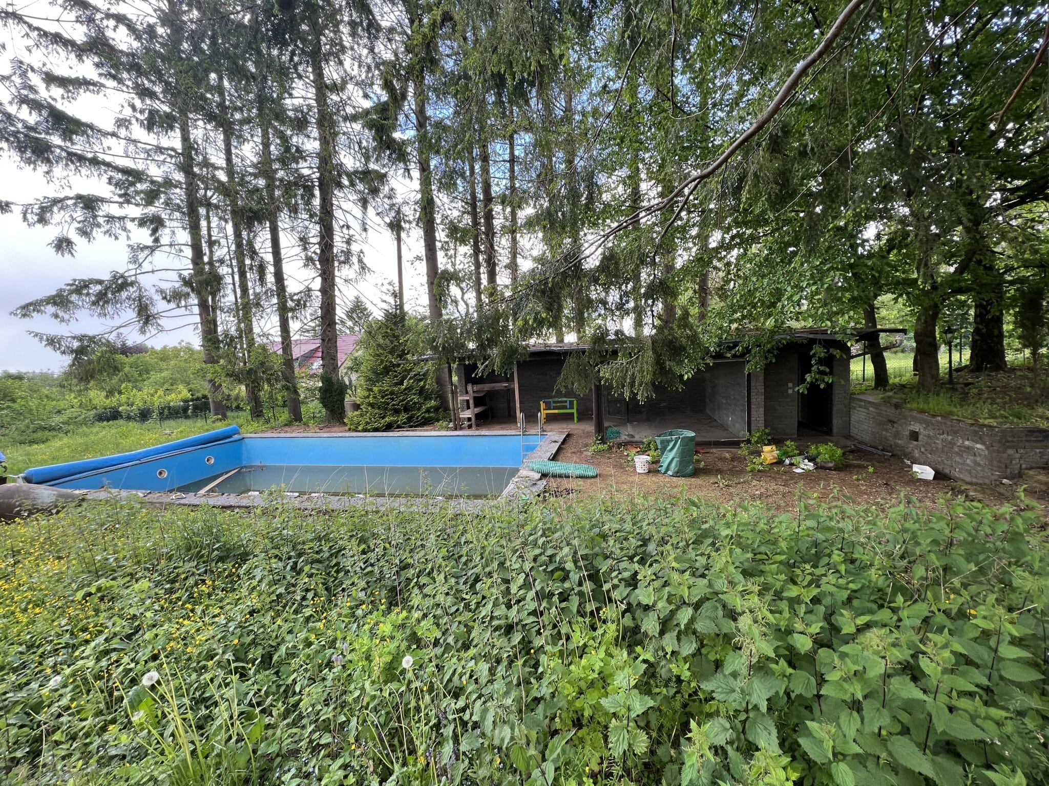 Pool im Wald - Poolheld